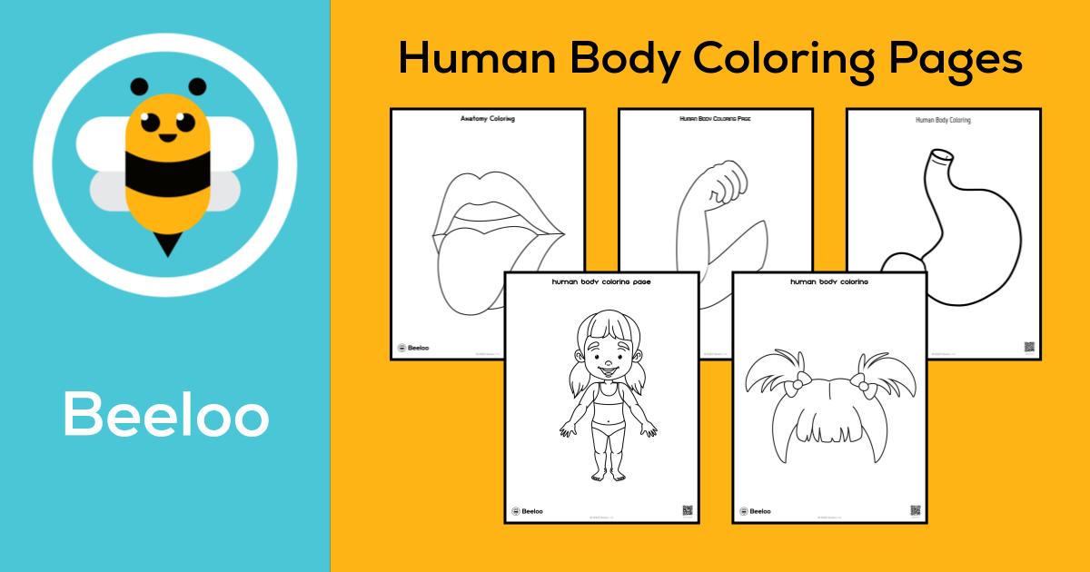 Human Body-themed Coloring Pages • Beeloo Printable Crafts and ...
